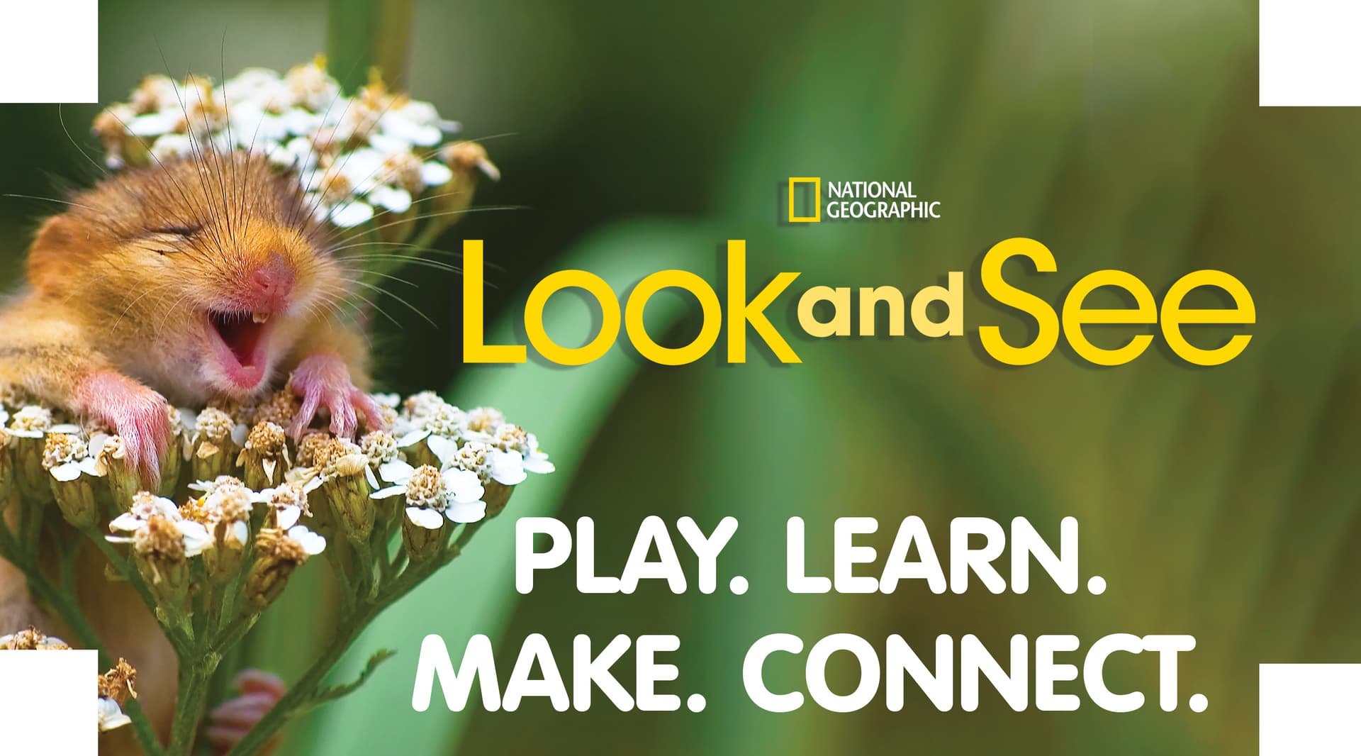 Very Young Learners | National Geographic Learning ELT